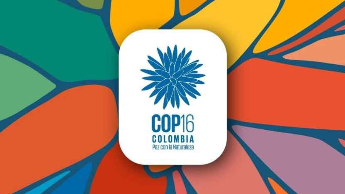 EL SISTEMA ANTIDRÓN CROW DE INDRA PROTEGIÓ EL CIELO DE CALI DURANTE LA ...